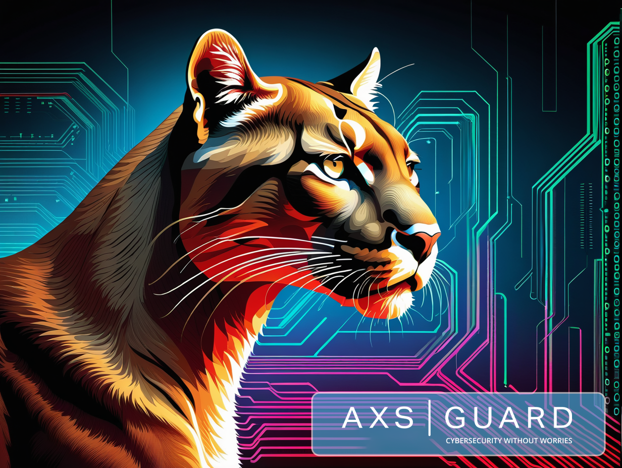 Hacking via verkorte domeinnamen | AXS Guard - 2020